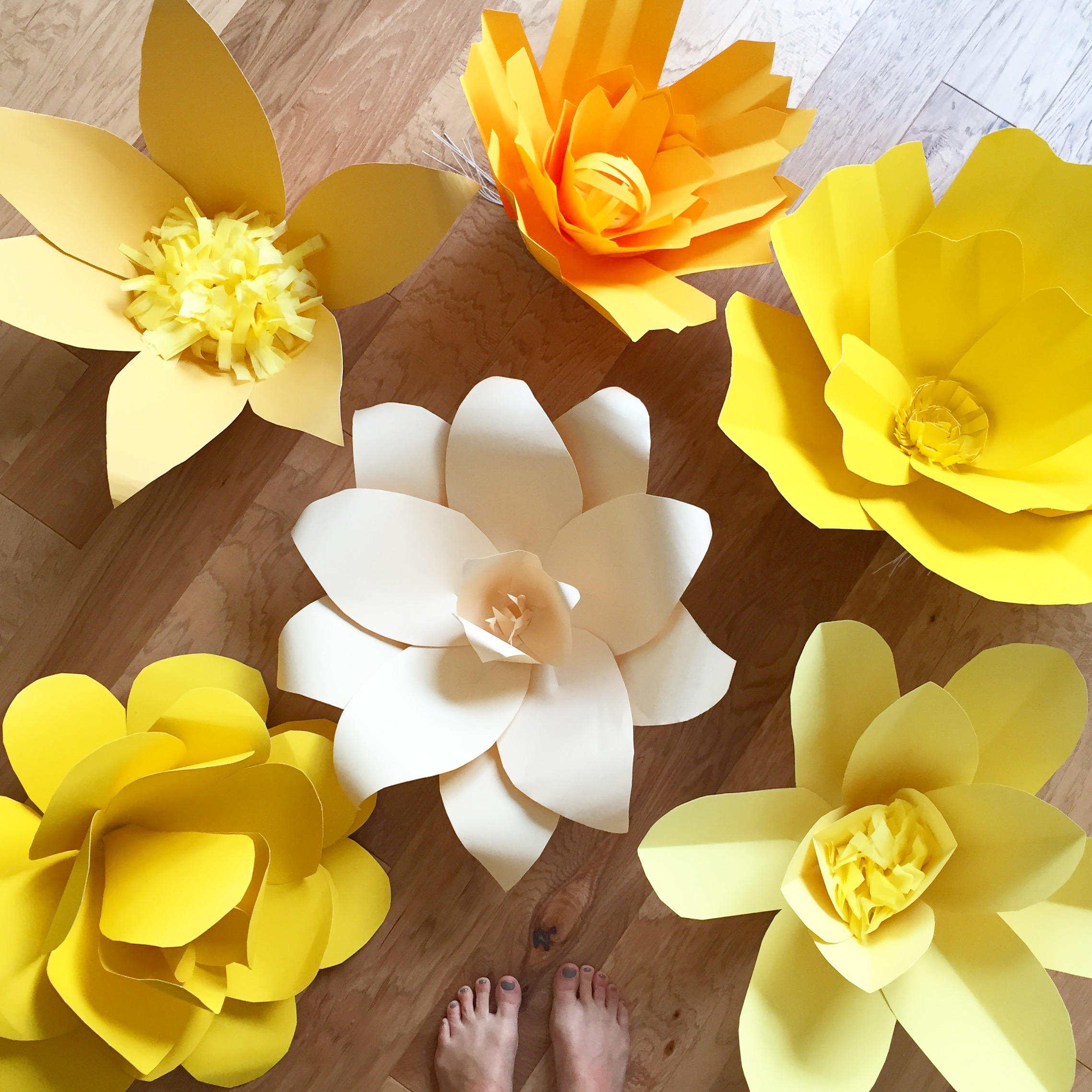 DIY Giant Paper Flower Arch Live Free Creative Co